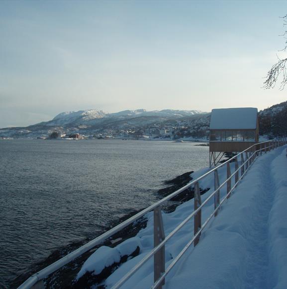 Things to Do - Harstad