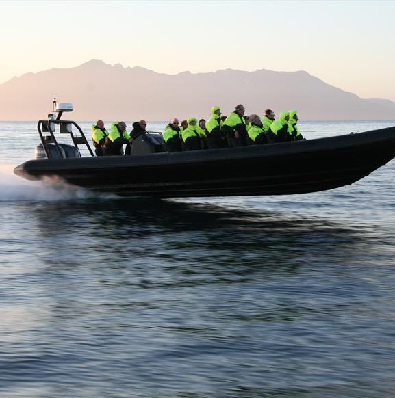 Things to Do - Harstad