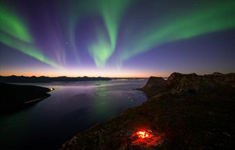 Experience The Northern Lights in Harstad - VisitHarstad.com